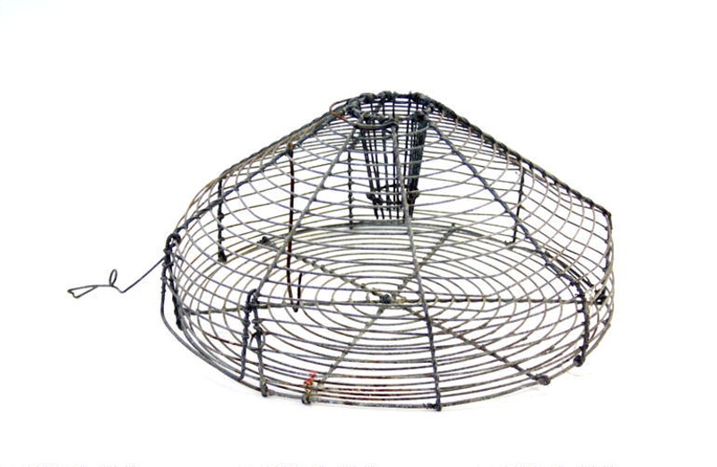 Octopus trap, wire; [1920-1970]; 981.1.21 | eHive