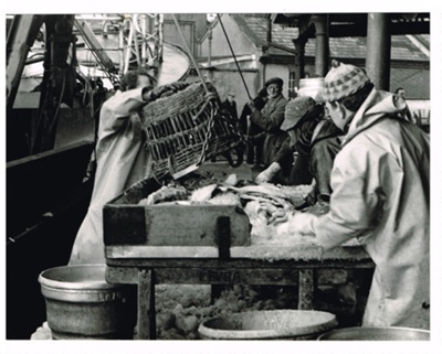 Photograph 'Unloading fish off Lowestoft trawler'; Graystone, Ernest ...