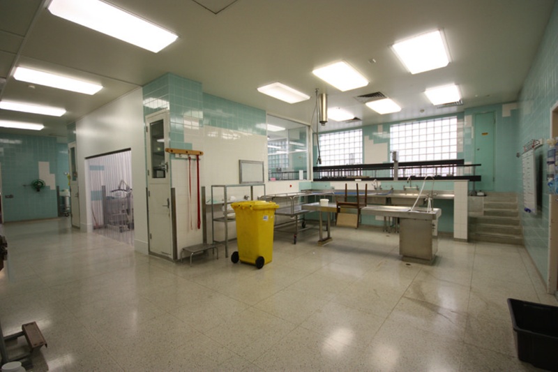 Interior: Mortuary Autopsy Theatres; 2013; AR#6847 | eHive