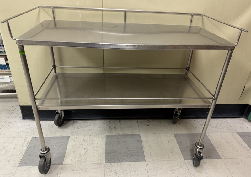 Equipment: Trolley 2 Tier with Edges; AR#19570 | eHive