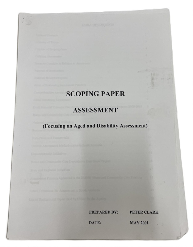 Document: Scoping Paper Assessment - Focus on Aged and Disability ...