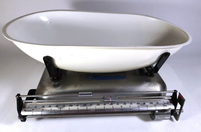 Equipment: Mercury Infant Scale; AR#10639 | eHive