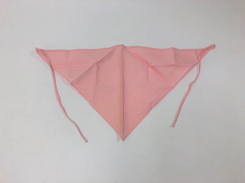 Uniform: Pink Nurses Cap; AR#13139 | eHive