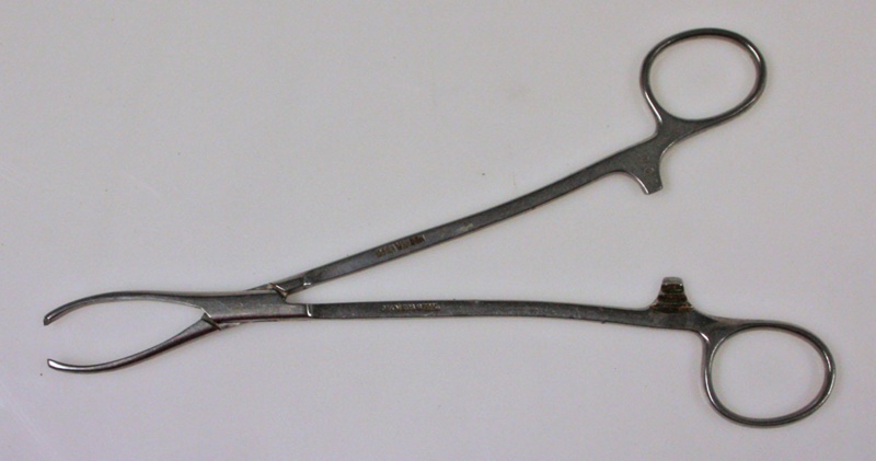 Equipment: Tissue Forceps; Ca 1900; AR#689 | eHive