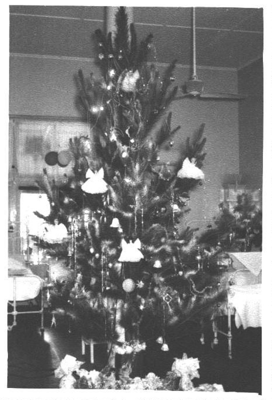 Nurse: Christmas Day - Beatrice Ward; 1957; 4.1B.133 | eHive
