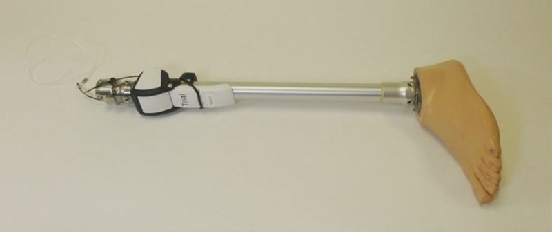 Equipment: Modular Lower Leg Prosthetic; Ca 2017; AR#6640 | eHive