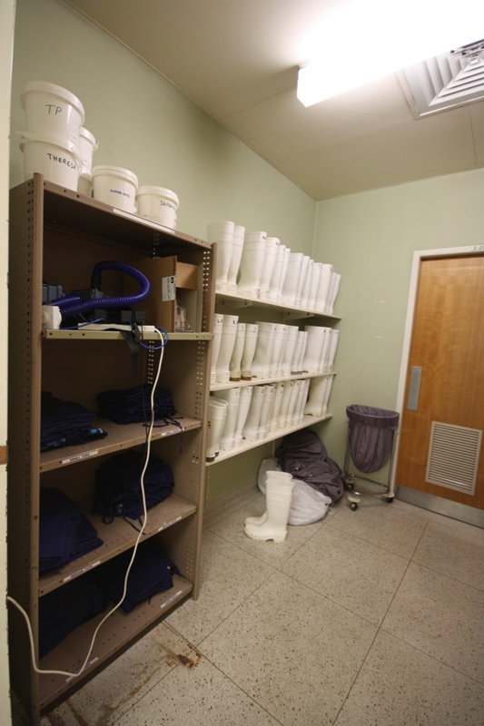 Interior: Mortuary Boot Room; 2013; AR#6846 | eHive