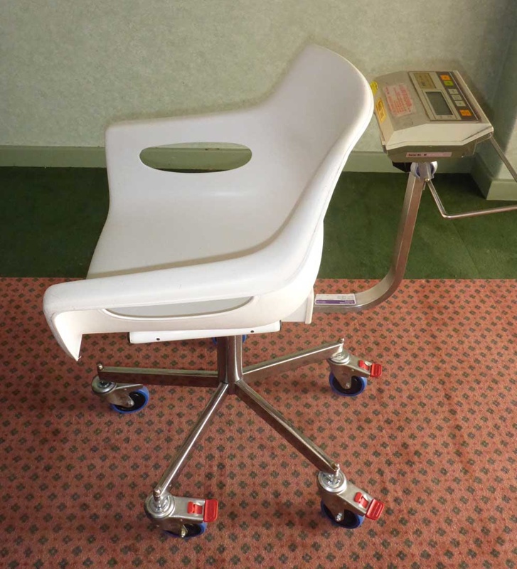 Equipment: Chair Scale; Ca 2017; AR#6358 | eHive