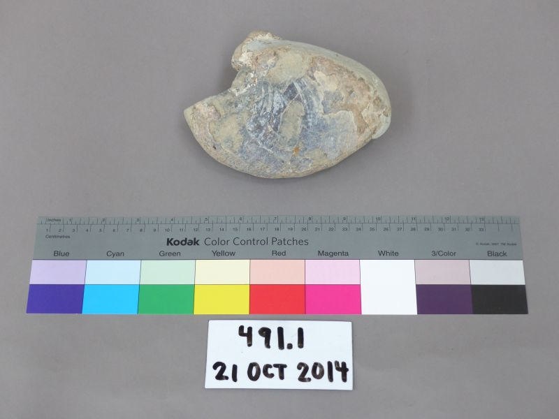 Geological specimen; 491.1 | eHive