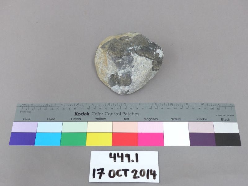 Geological specimen; 449.1 | eHive