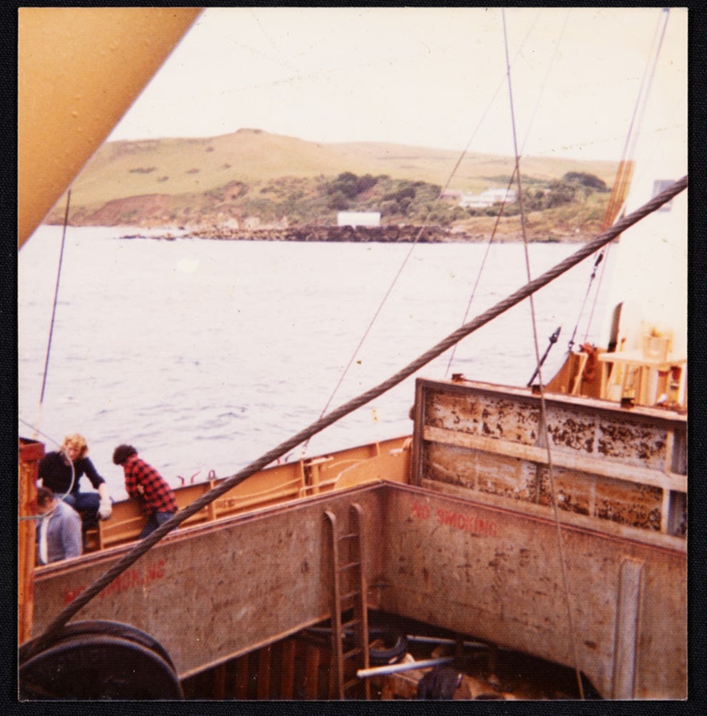 Loading Flower Pot, Pitt Island, Chatham Islands.; Unknown; 1950-2000 ...