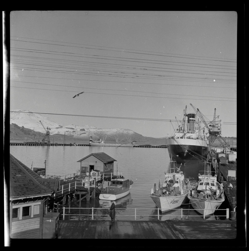 The 'Dunedin Star', three launches and the H.M.N.Z.S. 'Tarapunga'(?) in ...