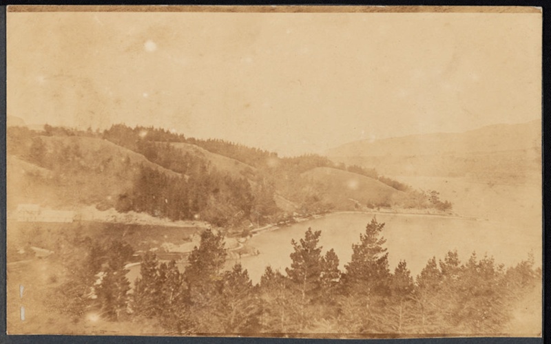Early view of Quail Island.; Unknown; 1906-1925; 11955.1 | eHive