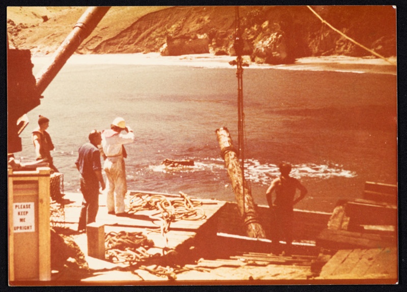 Flower Pott, Pitt Island. Chatham Islands.; Unknown; 1950-2000; 8974.1 ...