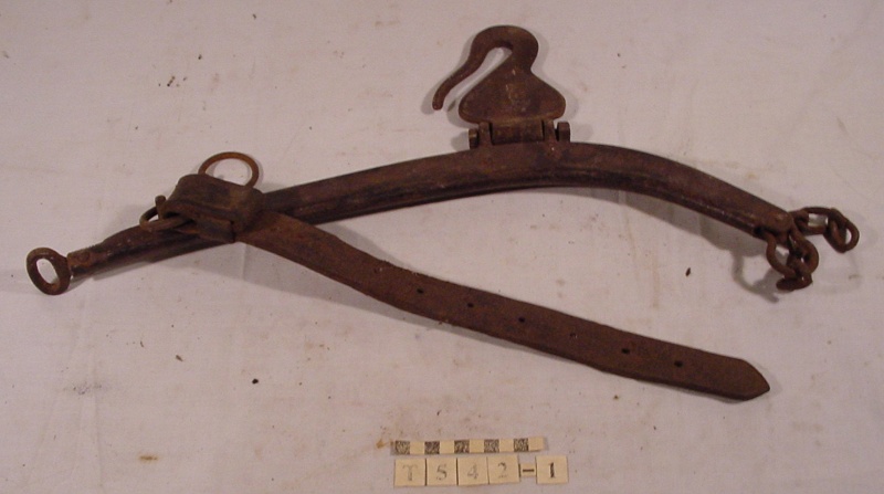 HAMES; Downee; T-542-1 | eHive