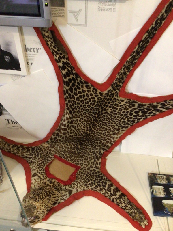 RAN Flagship Band - Leopard Pelt; RANHC-2026-0118 | eHive