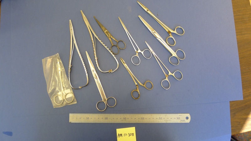 Forceps and Scissors; AM.17.308 | eHive