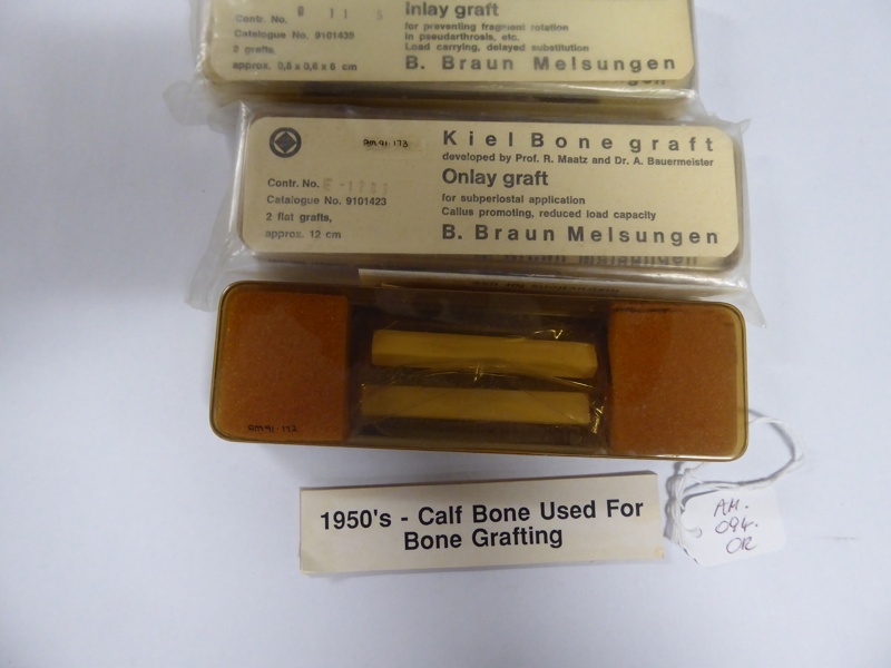 Kiel bone graft (Calf bone); AM.094.OR | eHive