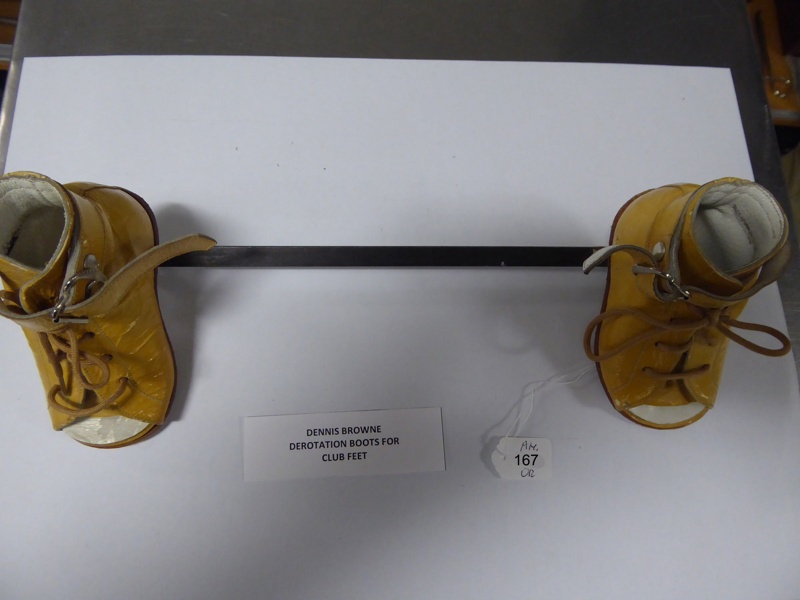 Dennis Brown derotation boots for club feet; AM.167.OR | eHive
