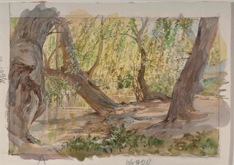The Willows; Keith HARRIS, 1882-; 1939; 1940_41 | eHive