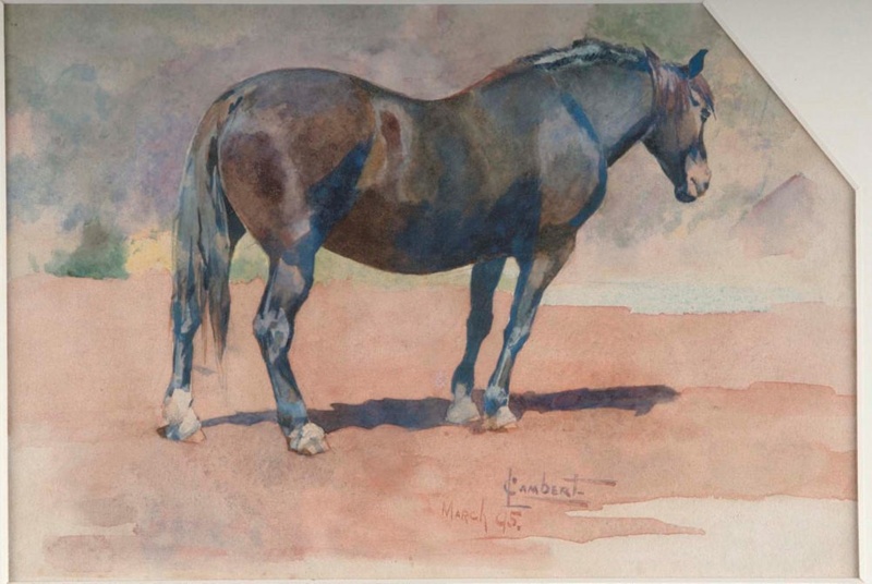 Study of a Horse; George W. LAMBERT, 1873-1930; 1895; 1945_25 | eHive