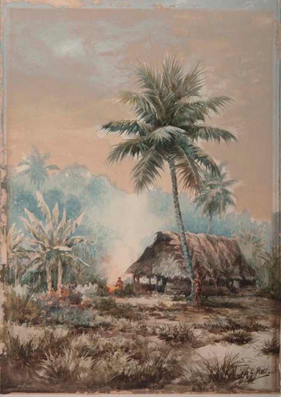 Samoan Landscape; Adolf Gustav PLATE, 1874-1914; 1911; 1938_79 | eHive