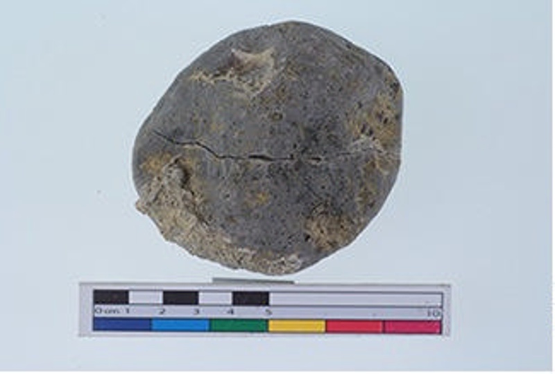 Basalt Lithic; Olduvai Gorge; MNKM T5 L10 39 | eHive