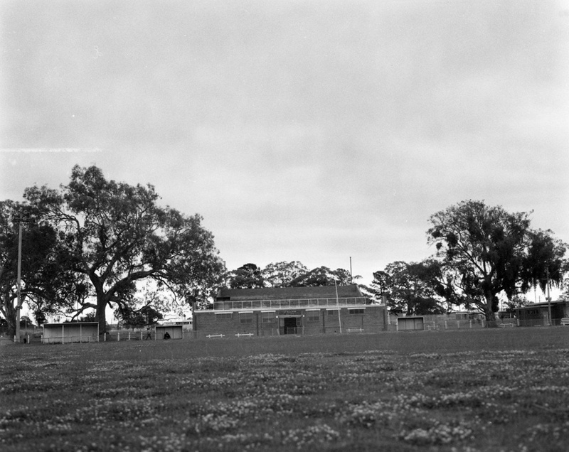 Shepley Oval; Graham Southam; 1970; 04.16.00 | eHive