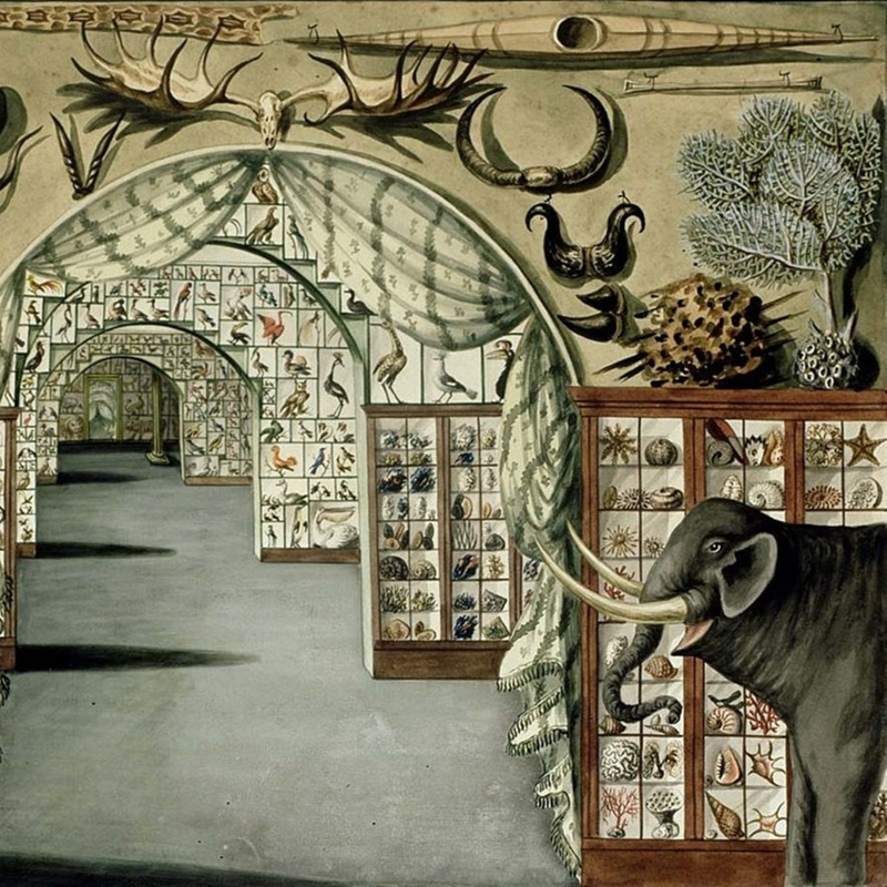 Notewell Museum | eHive