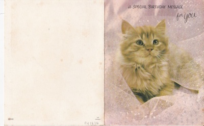 Ephemera - Birthday card to Mum from Hazel & Ella 1969; PH 1828 | eHive