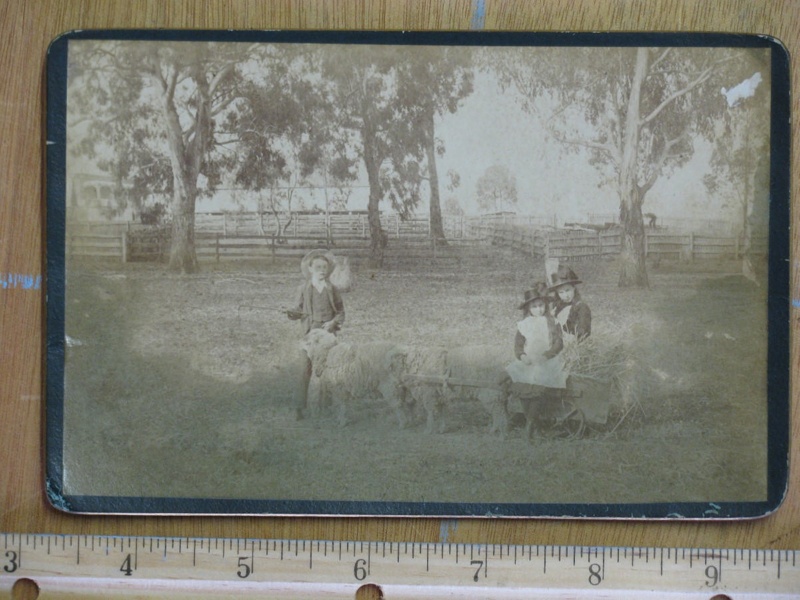 Bob, Phoebe Frost & unknown girl; PH 1387 | eHive