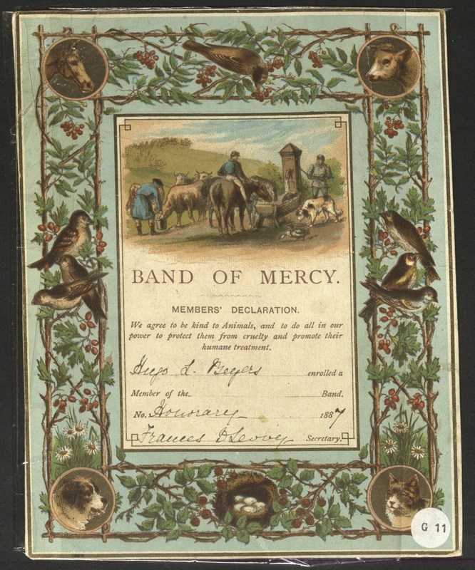 Band of Mercy honorary members certificate issued to Hugo L Byers; 1887 ...