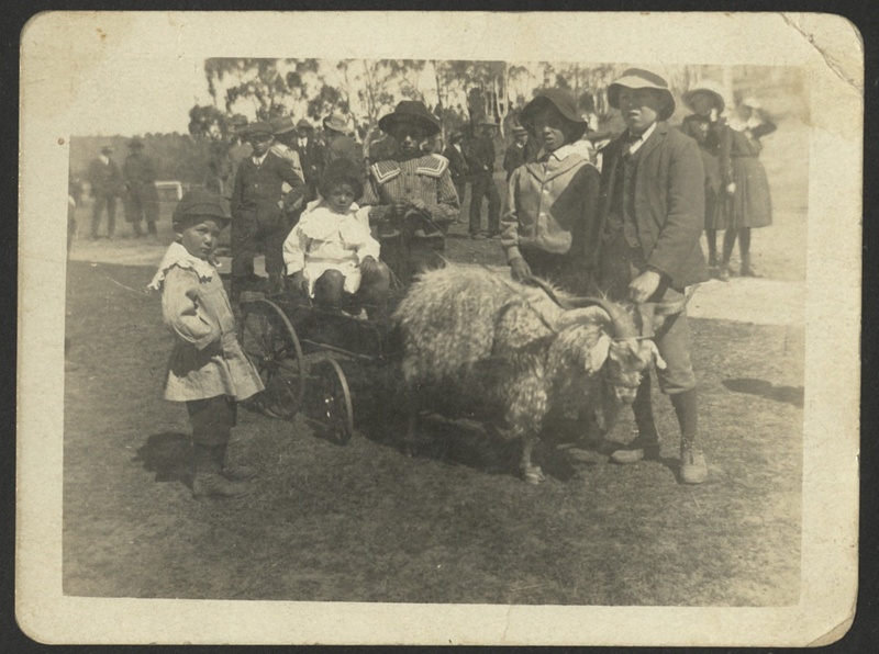 Outdoor photo of a family group with a sheep carting children.; 2022.16 ...
