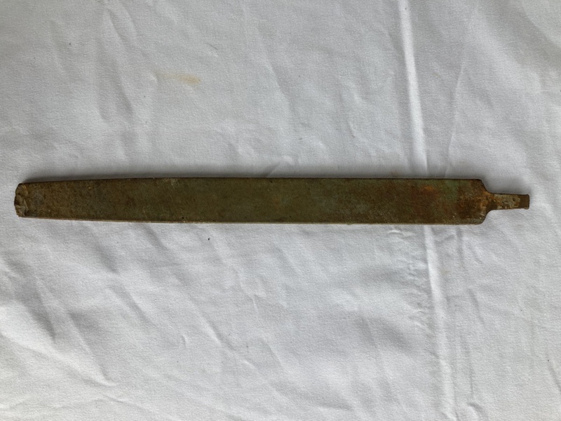 File ; 2023.203 | eHive