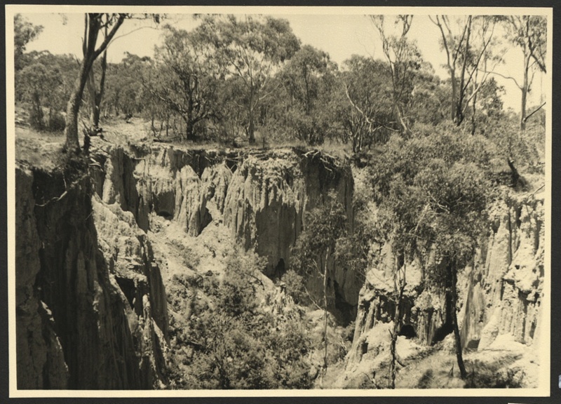 Photo of an eroded gully slope in Golden Gully, Tambaroora, taken in ...