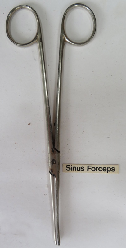 Sinus Forceps; 80.883 | eHive