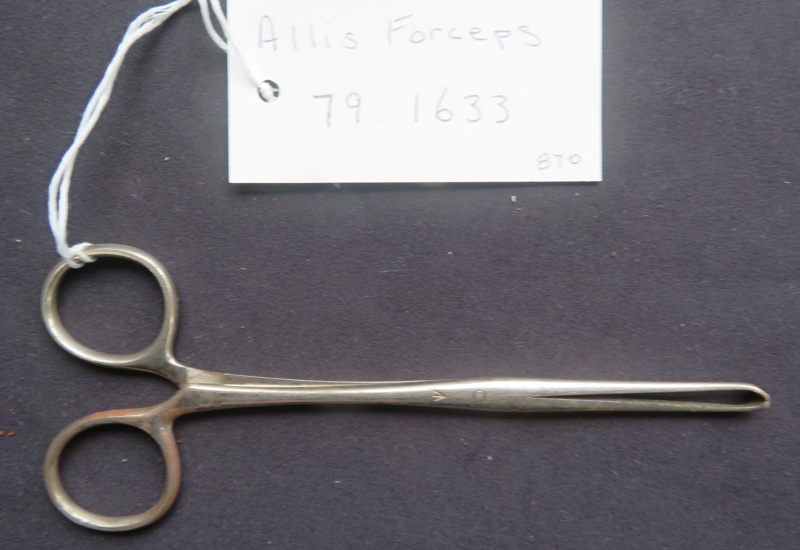 Allis forceps; 80.870 | eHive