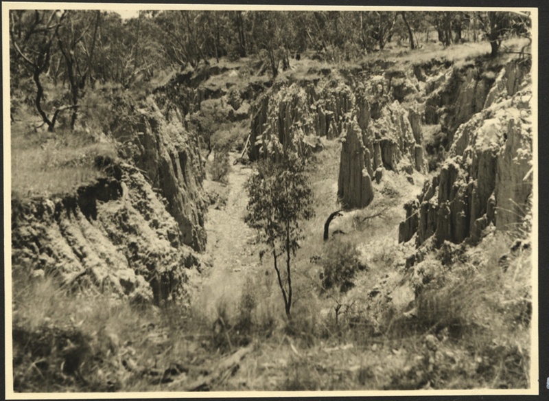 Photo of an eroded gully slope in Golden Gully, Tambaroora, taken in ...