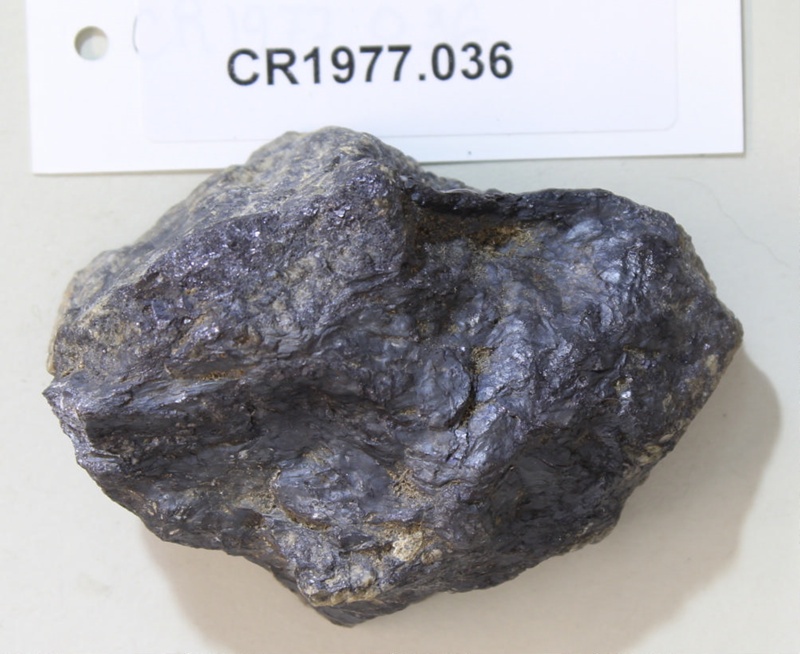 Rock specimen - Galena; CR1977.036 | eHive