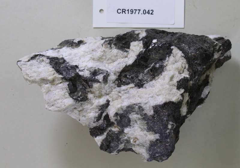 Rock specimen - Pegmatite; CR1977.042 | eHive
