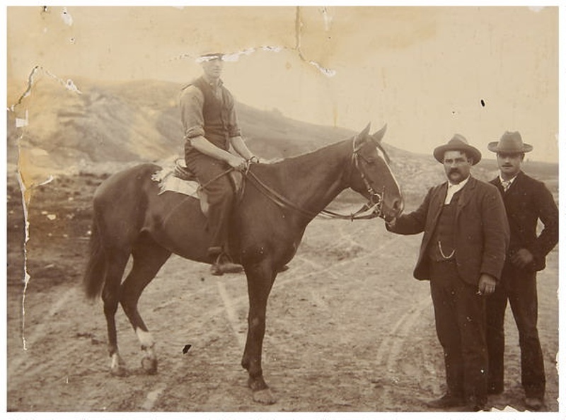 Photograph, Race horse "Nevis" with rider Jim Nichol; CR1985.1013 | eHive