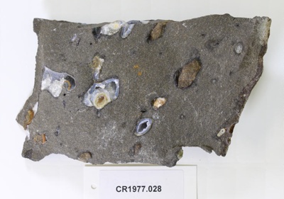 Rock specimen - Opaline silica; CR1977.028 | eHive