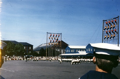 Photograph of a window ladder display in 1973; SHHMG:A2066 | eHive