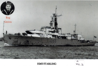 photograph of HMS Starling.; photographer : unknown; SHHMG:A4911.73 | eHive