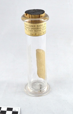 Small Clear Glass Plant Specimen Jar with Cork Closure and Paper Label ...