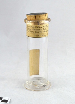 Clear Glass Plant Specimen Jar with Matching Closure and Paper Label ...