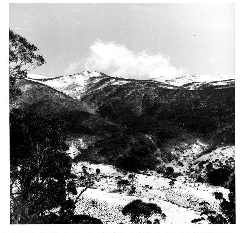 Mt. Crackenback sometime in 1953 to 56. Showing the original line of ...