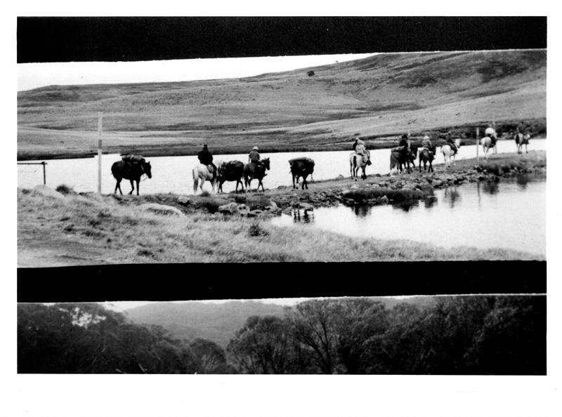 Party on horseback heading for Tawonga Huts Ros Crago; Klaus Hueneke ...