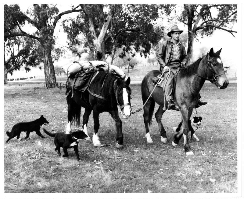 Gus Wade riding "Charlie" and leading a pack horse somewhere in ...
