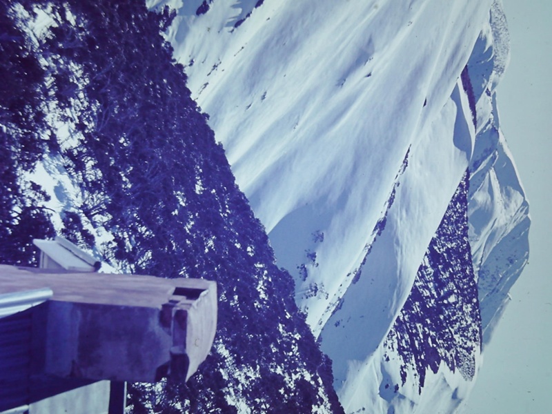 Slide; 15.7. 1962; VMBM 003014 | eHive